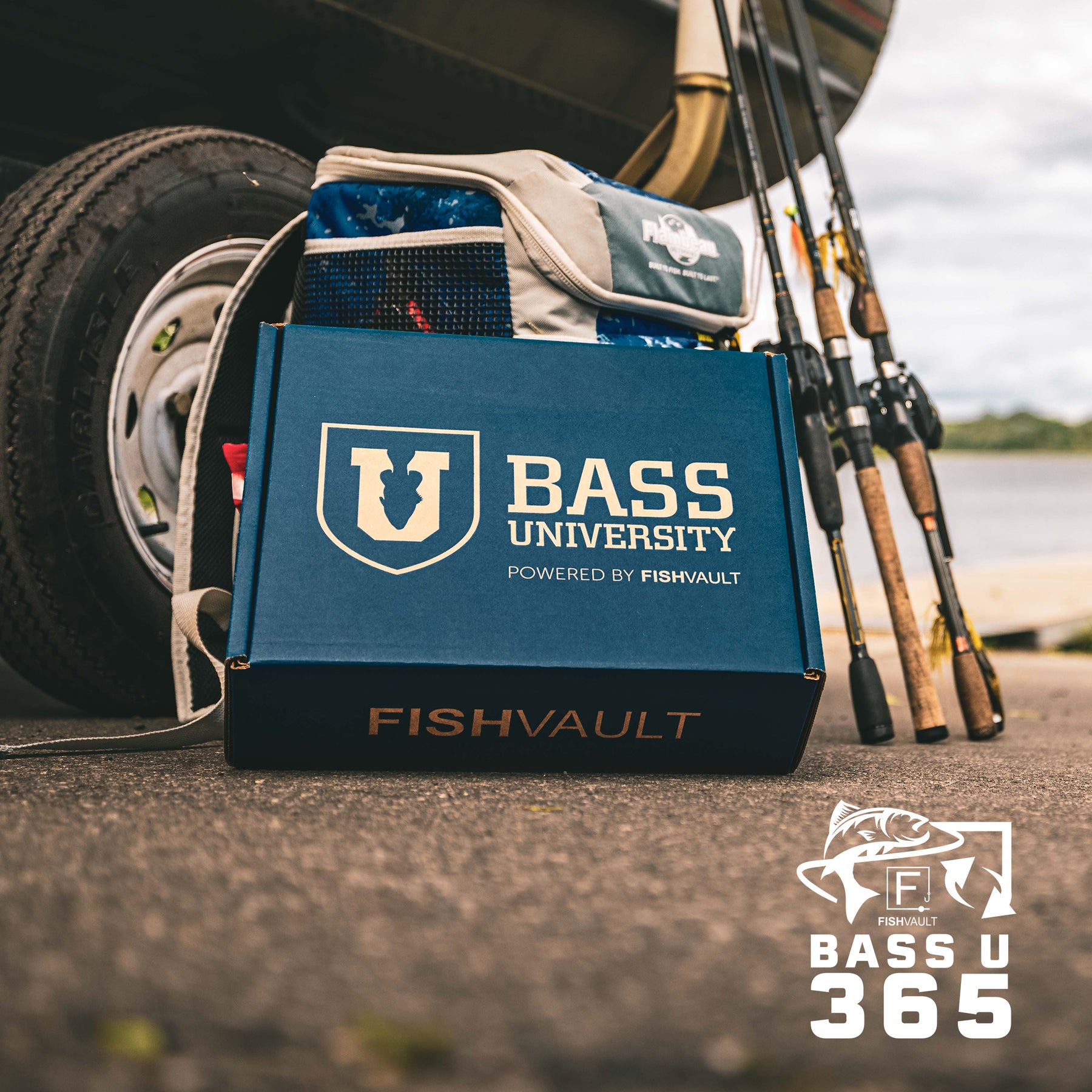 Bass U Box 365 Subscription